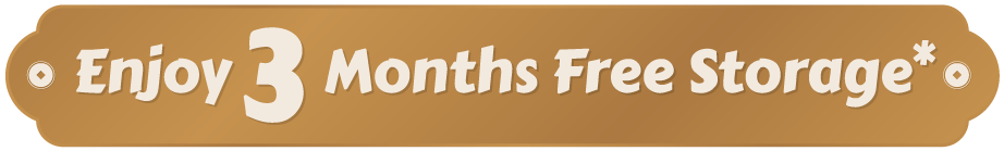 Secure And Convenient Storage Solutions | Extra Space Singapore